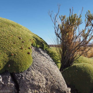 6 Places & Experiences we didn't write about in 2016 | dare2go