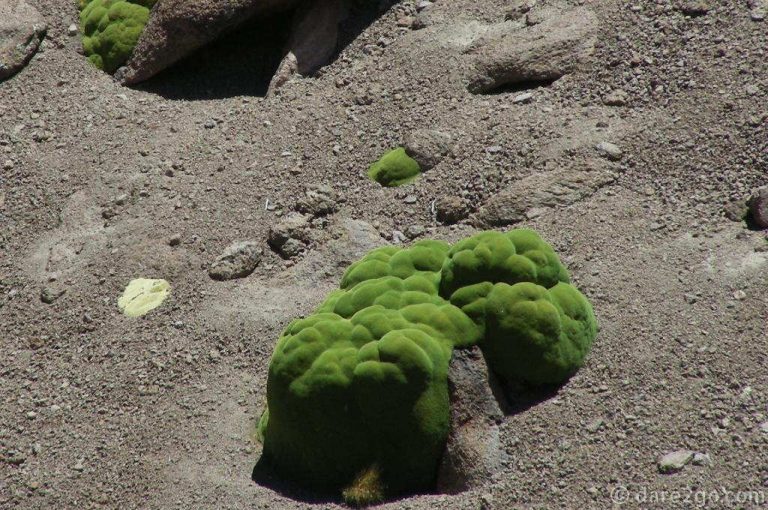 10 Things to Do in the Most Northerly Part of Chile | dare2go